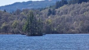 Cherry Island - Cruise Loch Ness